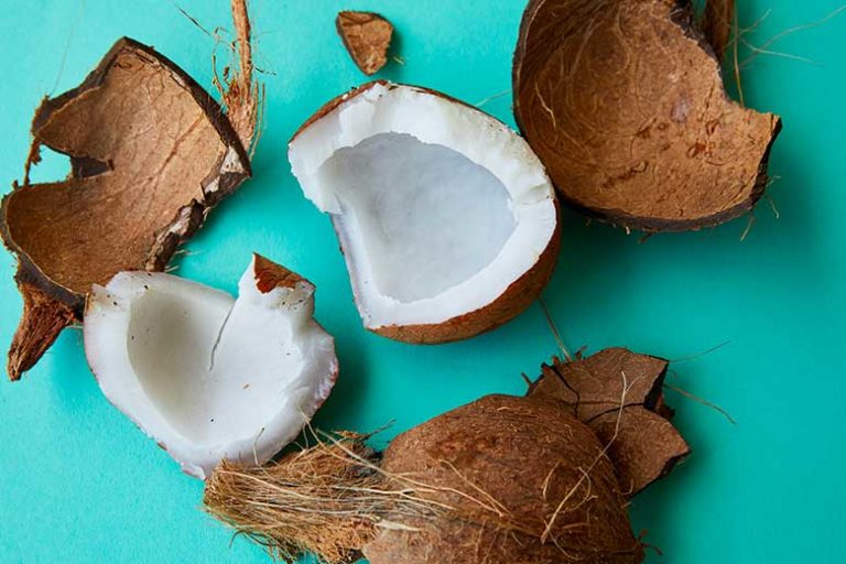 Cuisiner avec la farine de noix de coco — 6 conseils