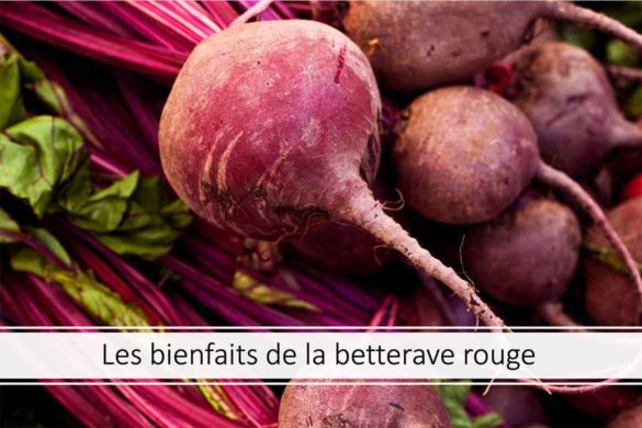 Recette Pesto de Betterave rouge - Madame Paléo