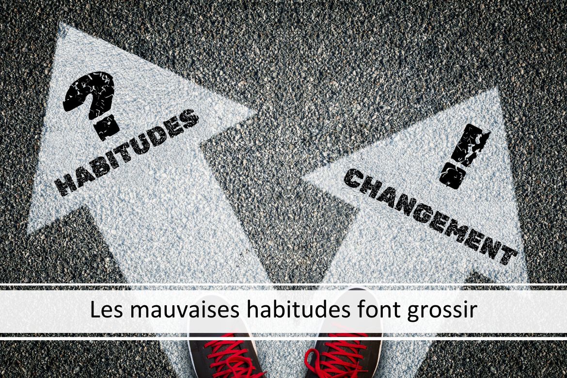 Les mauvaises habitudes font grossir - Madame Paléo